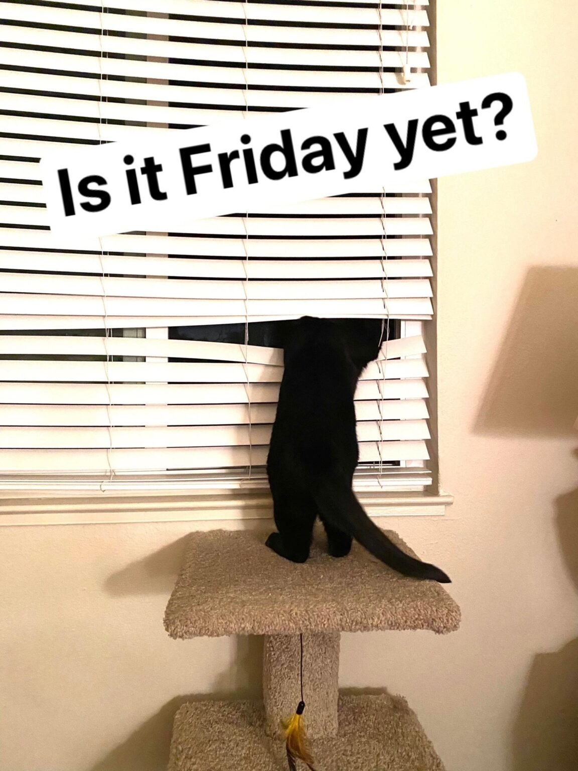 85 Friday Work Memes That Hit Way Too Close to Home