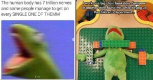 65 Kermit The Frog Memes That Might Lift Your Spirits
