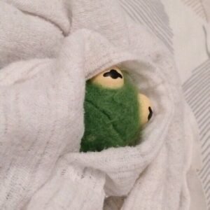 65 Kermit The Frog Memes That Might Lift Your Spirits