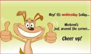 30 Hilarious Good Morning Wednesday Memes for Work That Beat the ...