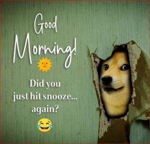 50 Good Morning Wednesday Memes That Will Make Your Hump Day Hilarious