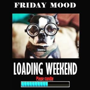 50 Good Morning Friday Memes That Will Make You Say TGIF