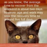 40+ Motivational Monday Memes to Power Up Your Week!