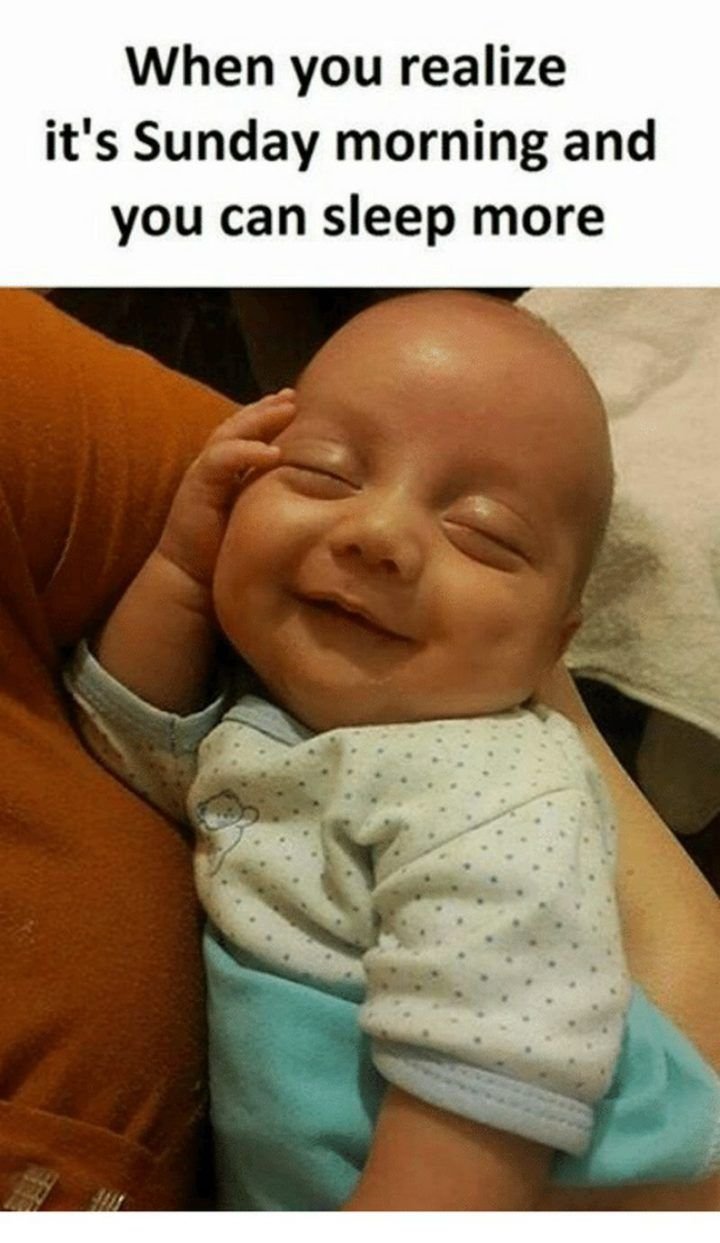65+ Funny Sunday Memes That Perfectly Describe Your Weekend Mood