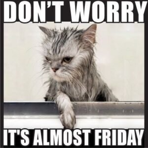 48 Hilarious Friday Memes Every Office Worker Needs Now