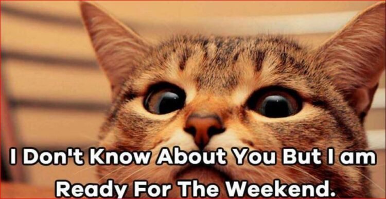 45 Good Morning Friday Memes That Will Have You Laughing Into the Weekend