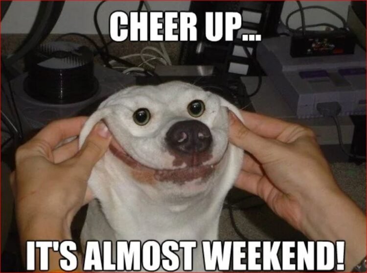 50 Good Morning Friday Memes That Will Make You Say TGIF