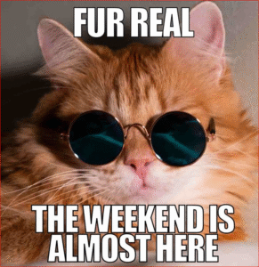 35 Thursday Morning Memes That Perfectly Captures Your Friday Evening Mood