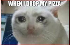 45 Crying Cat Memes That Hit Your Feelings Too Hard