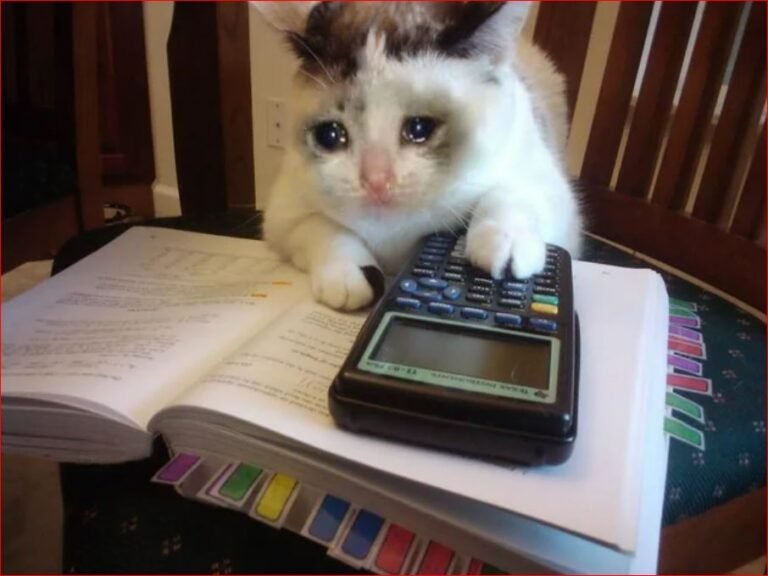 45 Crying Cat Memes That Hit Your Feelings Too Hard