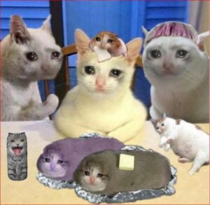 45 Crying Cat Memes That Hit Your Feelings Too Hard