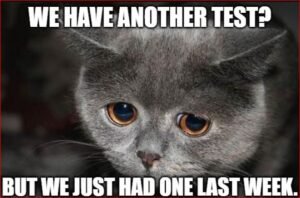 45 Crying Cat Memes That Hit Your Feelings Too Hard