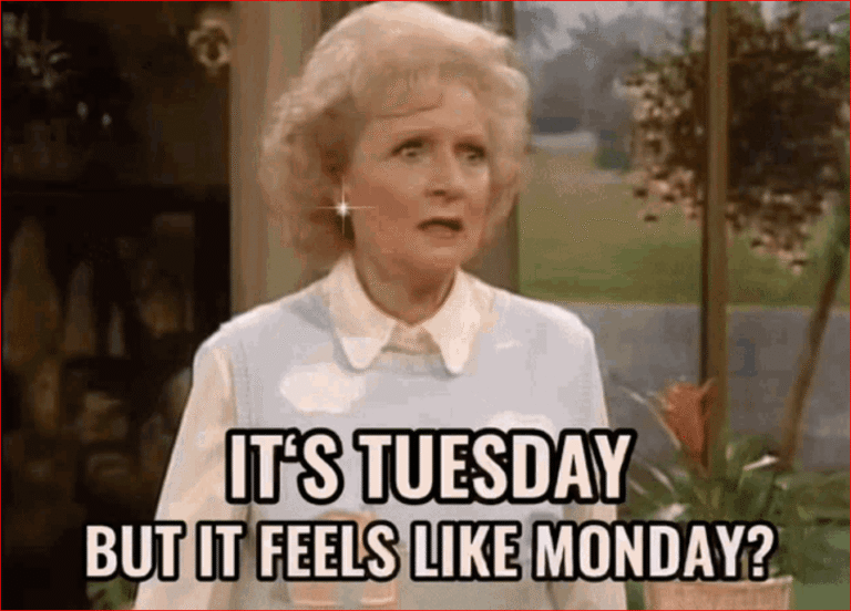 50+ Hilarious Tuesday Morning Memes to Survive the Workweek