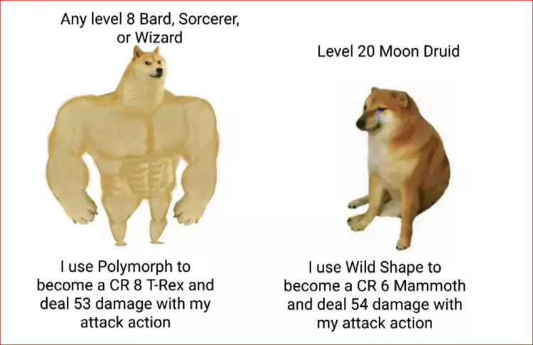 80+ Hilarious DND Memes Every Dungeon Master Will Relate To