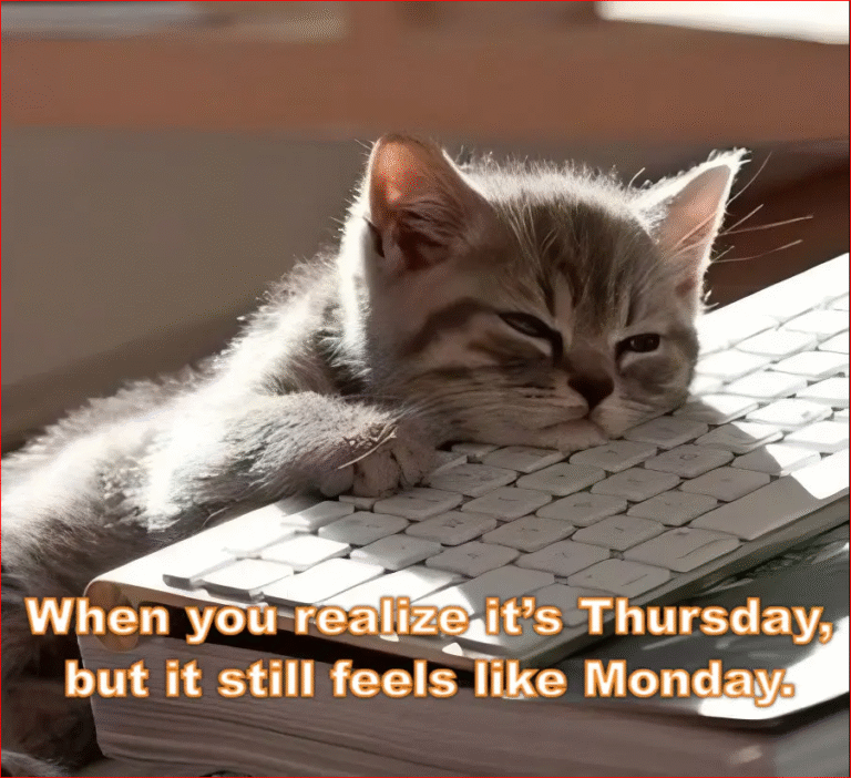 Best Good Morning Thursday Memes to Share with Your Team