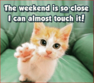65 Hilarious Friday Eve Memes That Make Thursday Worth Celebrating
