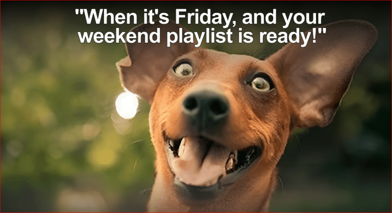 35 Best Friday Morning Memes to Share with Your Team Before the Weekend