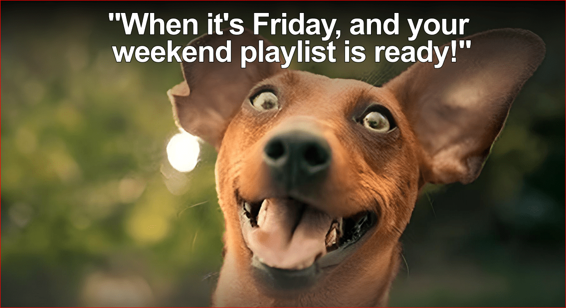 35 Best Friday Morning Memes to Share with Your Team Before the Weekend