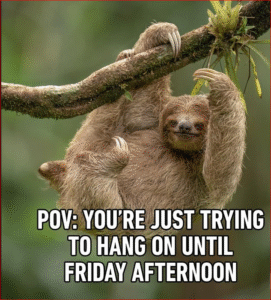 Best 50 Monday Work Memes to Share with Your Team