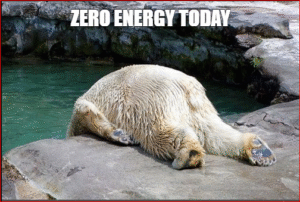 Best 50 Monday Work Memes to Share with Your Team