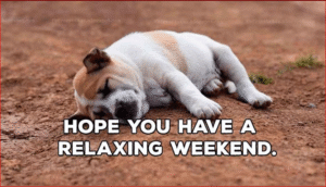 35 Best Friday Morning Memes to Share with Your Team Before the Weekend
