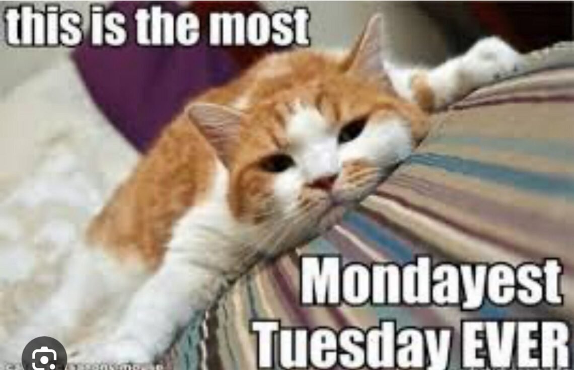 25 Long Weekend Memes That Perfectly Capture Your 3-Day Freedom