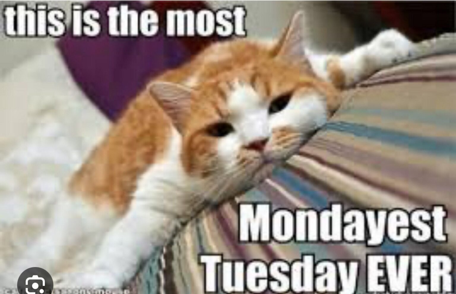 25 Long Weekend Memes That Perfectly Capture Your 3-Day Freedom