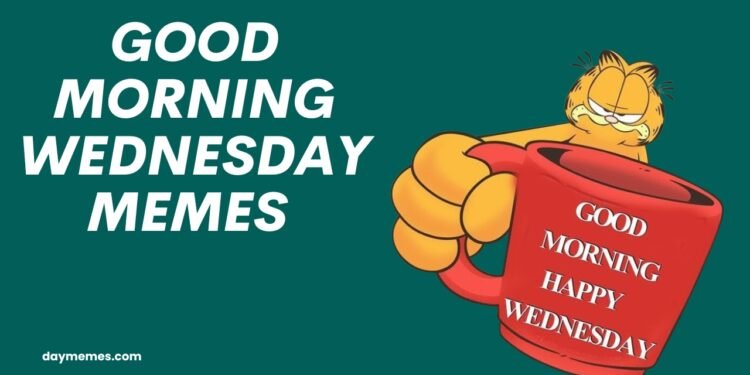 30 Hilarious Good Morning Wednesday Memes for Work That Beat the ...