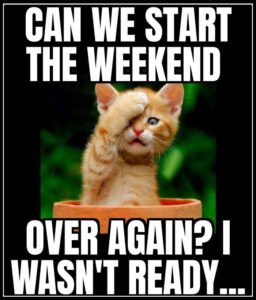 65+ Funny Sunday Memes That Perfectly Describe Your Weekend Mood