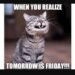 65 Hilarious Friday Eve Memes That Make Thursday Worth Celebrating