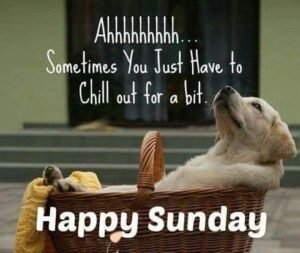 35 Happy Sunday Memes To Cure Your Case Of The Monday Dreads