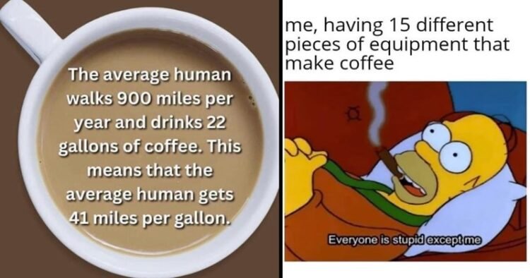51 Funny Monday Memes That Perfectly Capture the Struggle