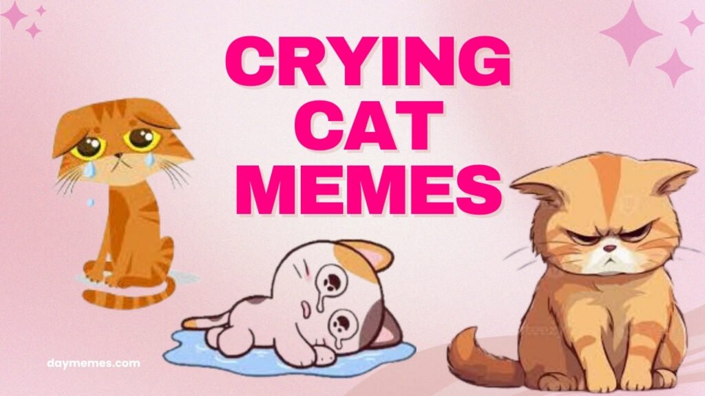 45 Crying Cat Memes That Hit Your Feelings Too Hard