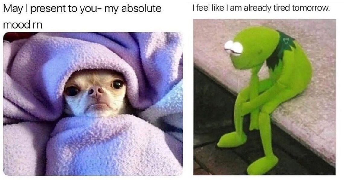 50 Good Morning Wednesday Memes That Will Make Your Hump Day Hilarious