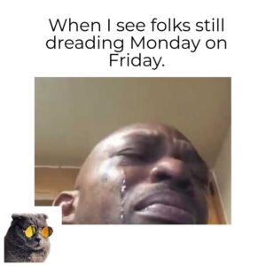 60 Best Happy Monday Memes to Cure Your Monday Blues Instantly