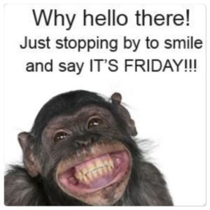 45 Friday Morning Memes to Start Your Weekend with Laughter