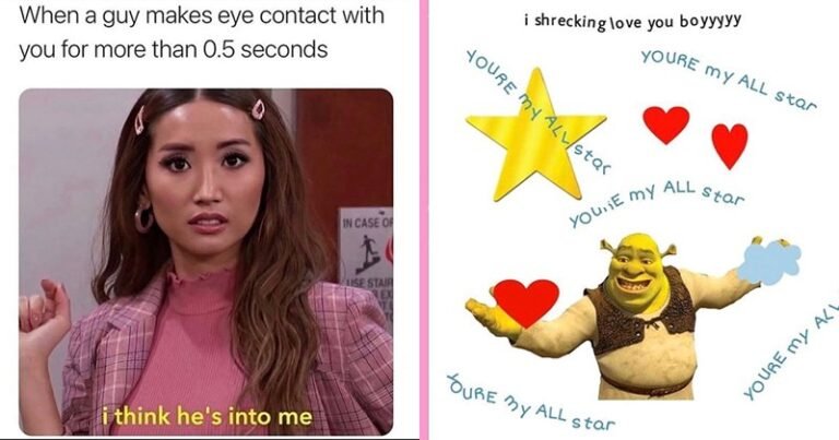 78 Hilarious Flirty Memes to Share with Your Crush
