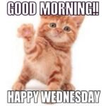 30 Hilarious Good Morning Wednesday Memes for Work That Beat the ...