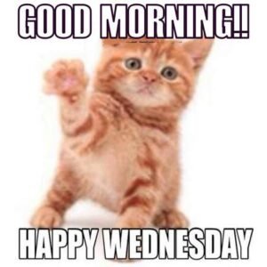 30 Hilarious Good Morning Wednesday Memes for Work That Beat the ...