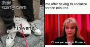 65+ Funny Sunday Memes That Perfectly Describe Your Weekend Mood