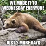 50 Good Morning Wednesday Memes That Will Make Your Hump Day Hilarious