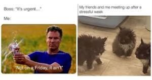 35 Best Friday Morning Memes to Share with Your Team Before the Weekend