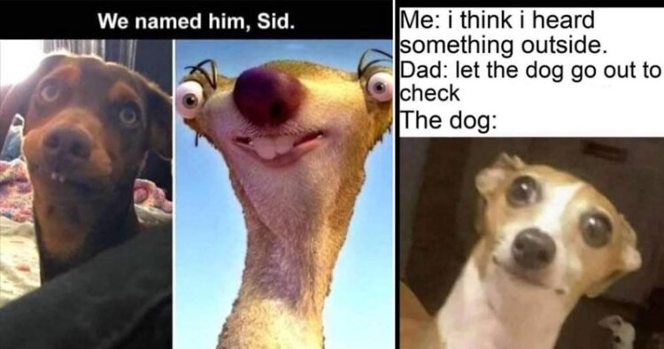 Funny Tuesday Memes: 100+ Hilarious Ways to Survive Until Friday