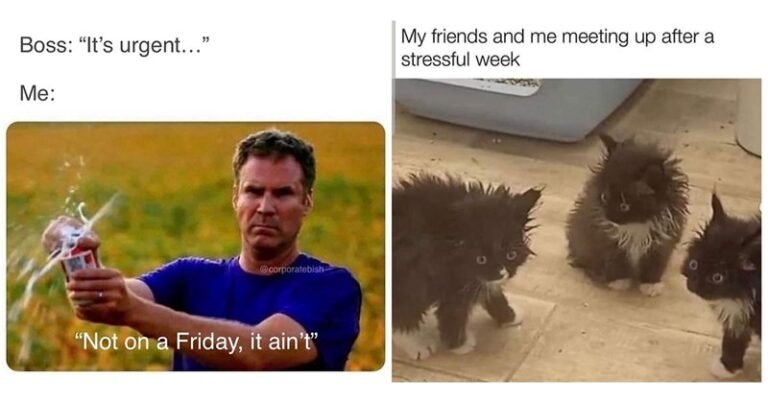 48 Hilarious Friday Memes Every Office Worker Needs Now