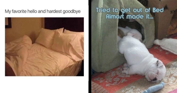 70 Funny Monday Memes to Survive the Work Week