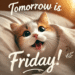65 Hilarious Friday Eve Memes That Make Thursday Worth Celebrating