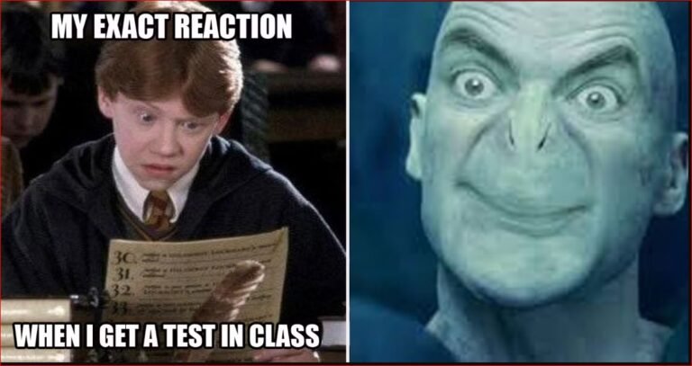 58 Viral Harry Potter Memes Every Potterhead Needs