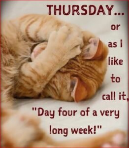 50+ Good Morning Thursday Memes to Survive the Almost-Weekend Blues