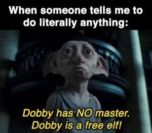 58 Viral Harry Potter Memes Every Potterhead Needs