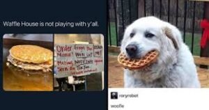 35+ Funny Good Morning Memes That Will Make You Smile